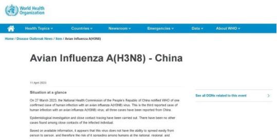 全球首例！世卫通报H3N8死亡病例：活禽接触或是感染关键 | 极目新闻