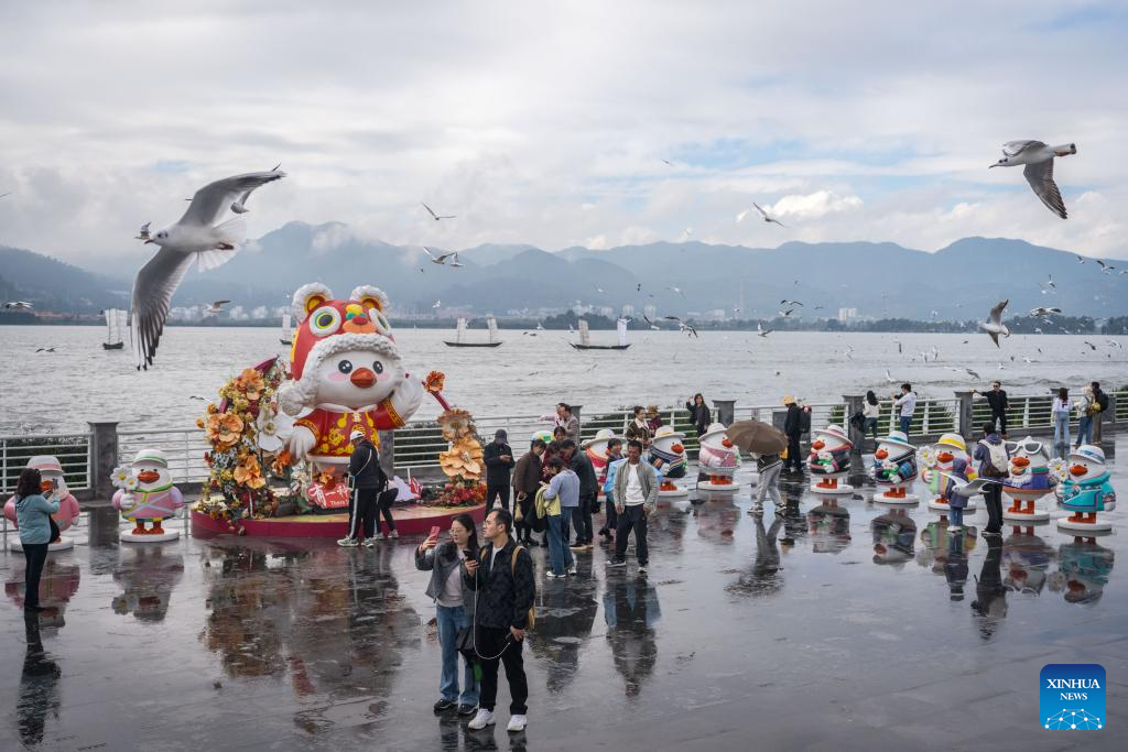Black-headed gulls migrate to SW China's Kunming in winter | 极目新闻