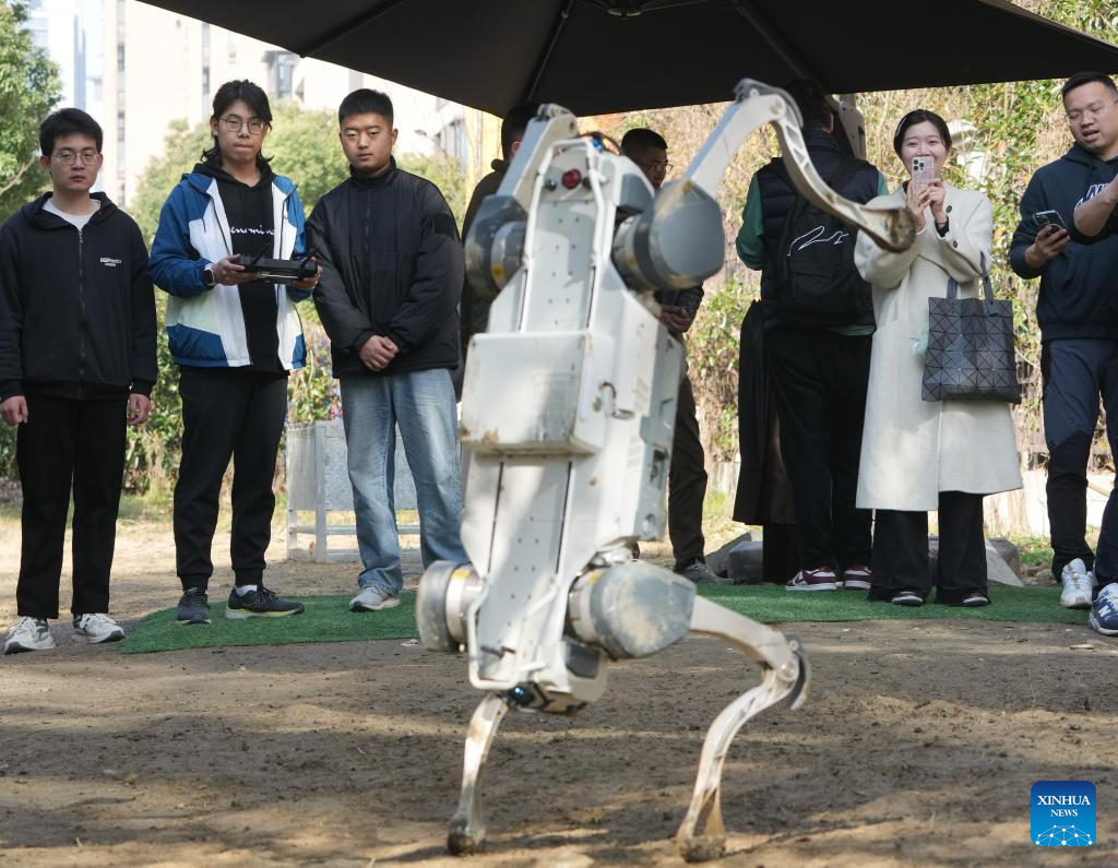 Young engineer enchanted with robotics in Hangzhou | 极目新闻