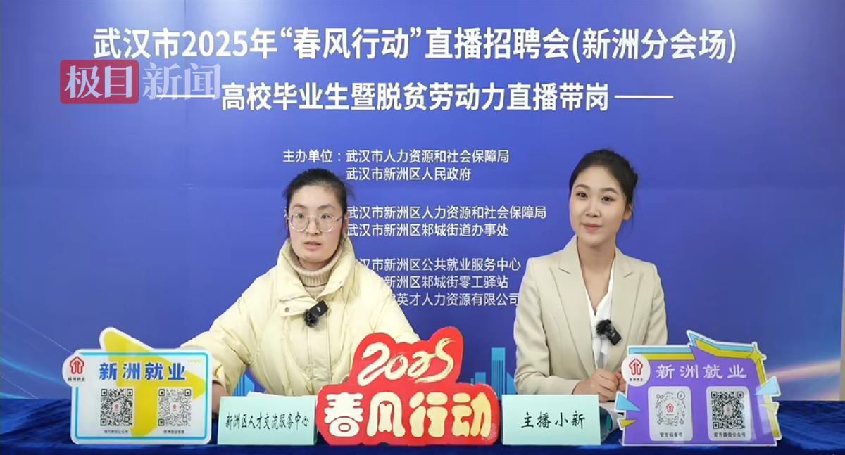 武汉新洲：就业创业政策“云”送达 | 极目新闻