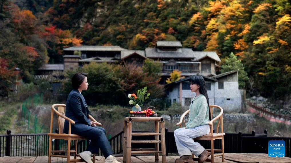 Interview: After long hiatus, vlogger Li Ziqi reflects on culture ...