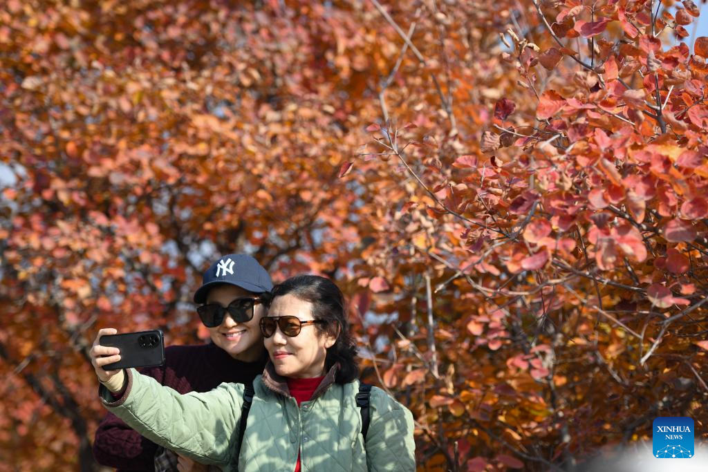 Pofengling scenic spot in Beijing ushers in best time of year to view ...