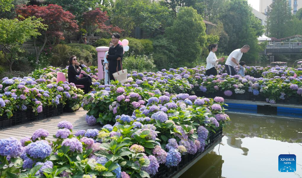 2025 World Garden Show kicks off in E China's Zhejiang | 极目新闻