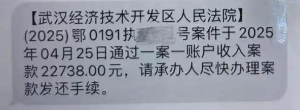 武汉经开区法院：以“指尖提醒”打通案款发还“最后一公里” | 极目新闻