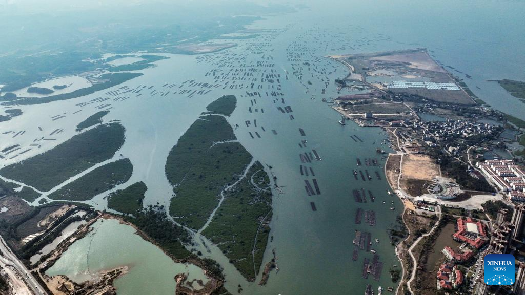 View of Maowei Sea in China's Guangxi | 极目新闻