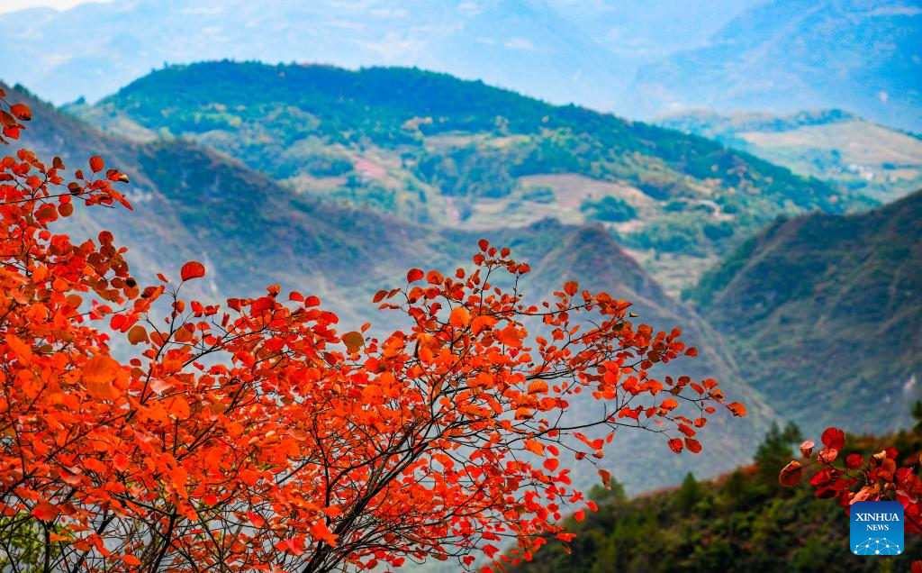 Scenery of scenic spot near Wuxia Gorge in Wushan, China's Chongqing | 极目新闻
