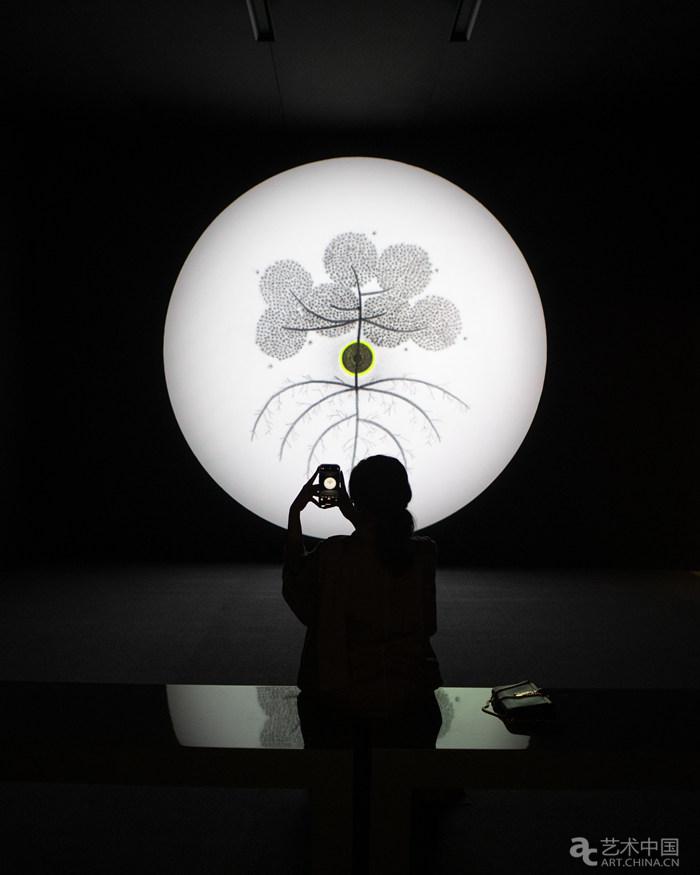 30位艺术家表现“夜色” 沙特首座当代艺术博物馆点亮艺术之光 | 极目新闻